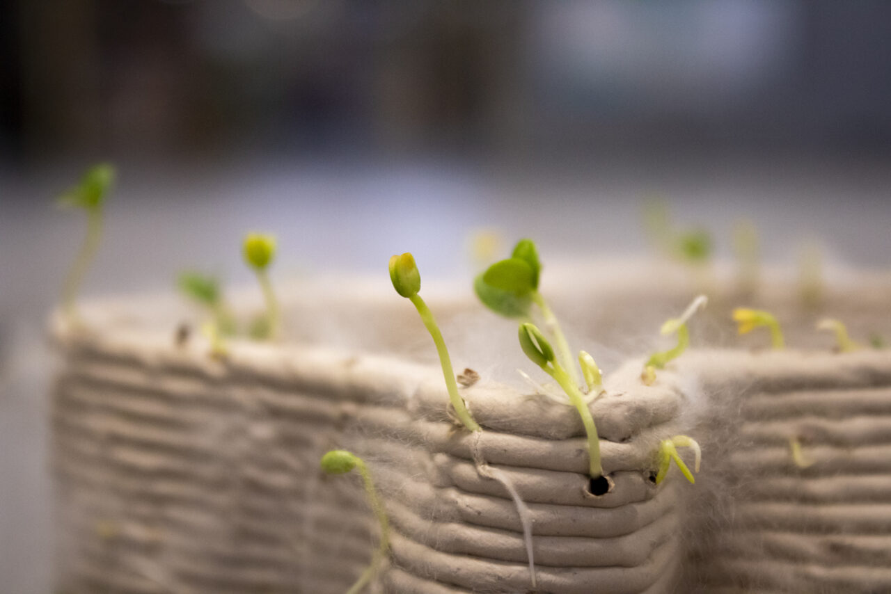 Urban Reefs: Nieuwe wildernis in de stad | Stimuleringsfonds